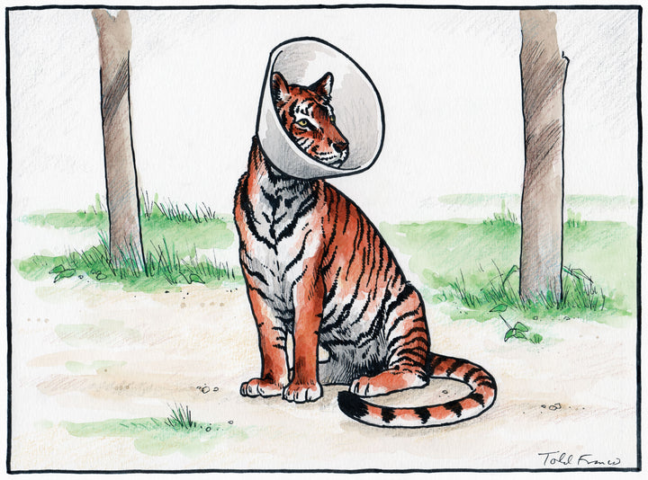 STUDIO ART – Todd Francis